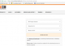 How to Install PostgreSQL on Windows Servers
