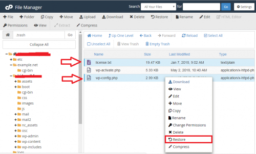 How to Restore Partial Files In cPanel