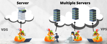 VPS vs VDS: A Detailed Comparison of Virtual Server Hosting Options