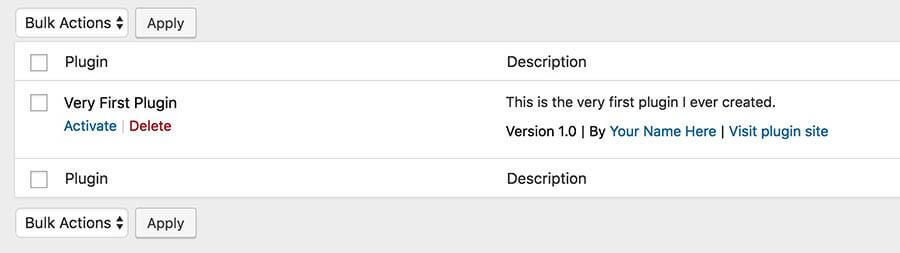How to Create Your First Custom WordPress Plugin? | HostAdvice