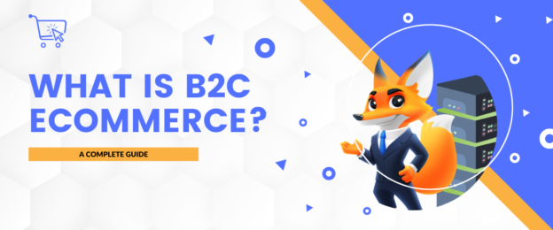 What is B2C eCommerce?