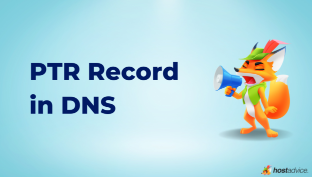 What Is PTR Record in DNS? The Ultimate Guide