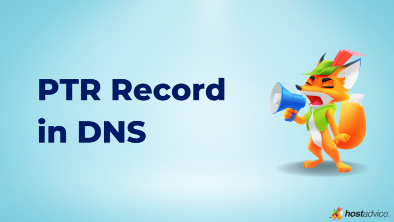 What Is PTR Record in DNS? The Ultimate Guide