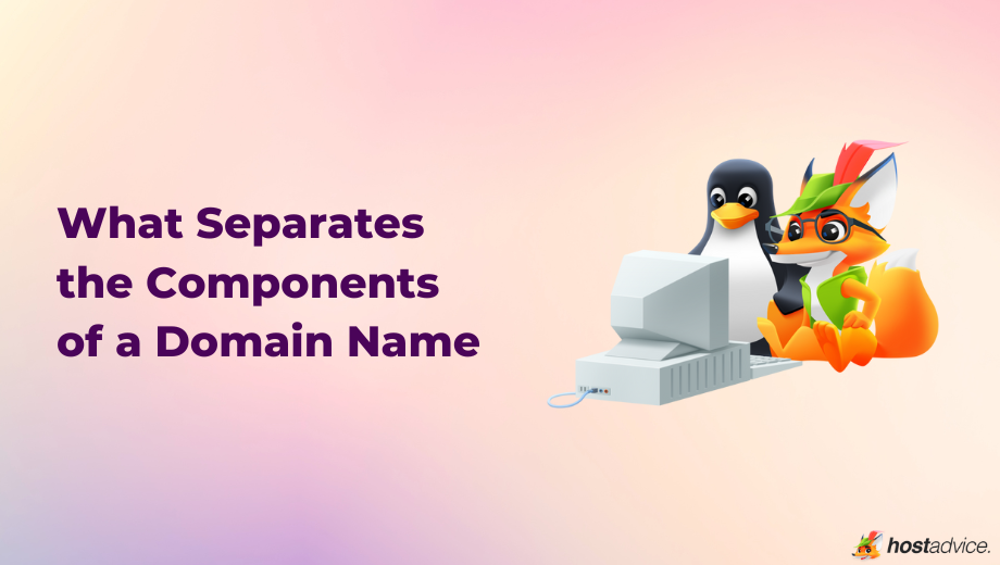 What Separates the Components of a Domain Name?