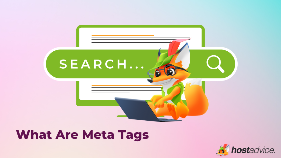 What Are Meta Tags: Discovering Their Role in Web Traffic