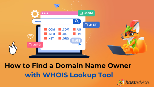 How to Find a Domain Name Owner w/ WHOIS Lookup (for free)