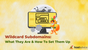 Wildcard Subdomains: What It Is & How to Set It Up