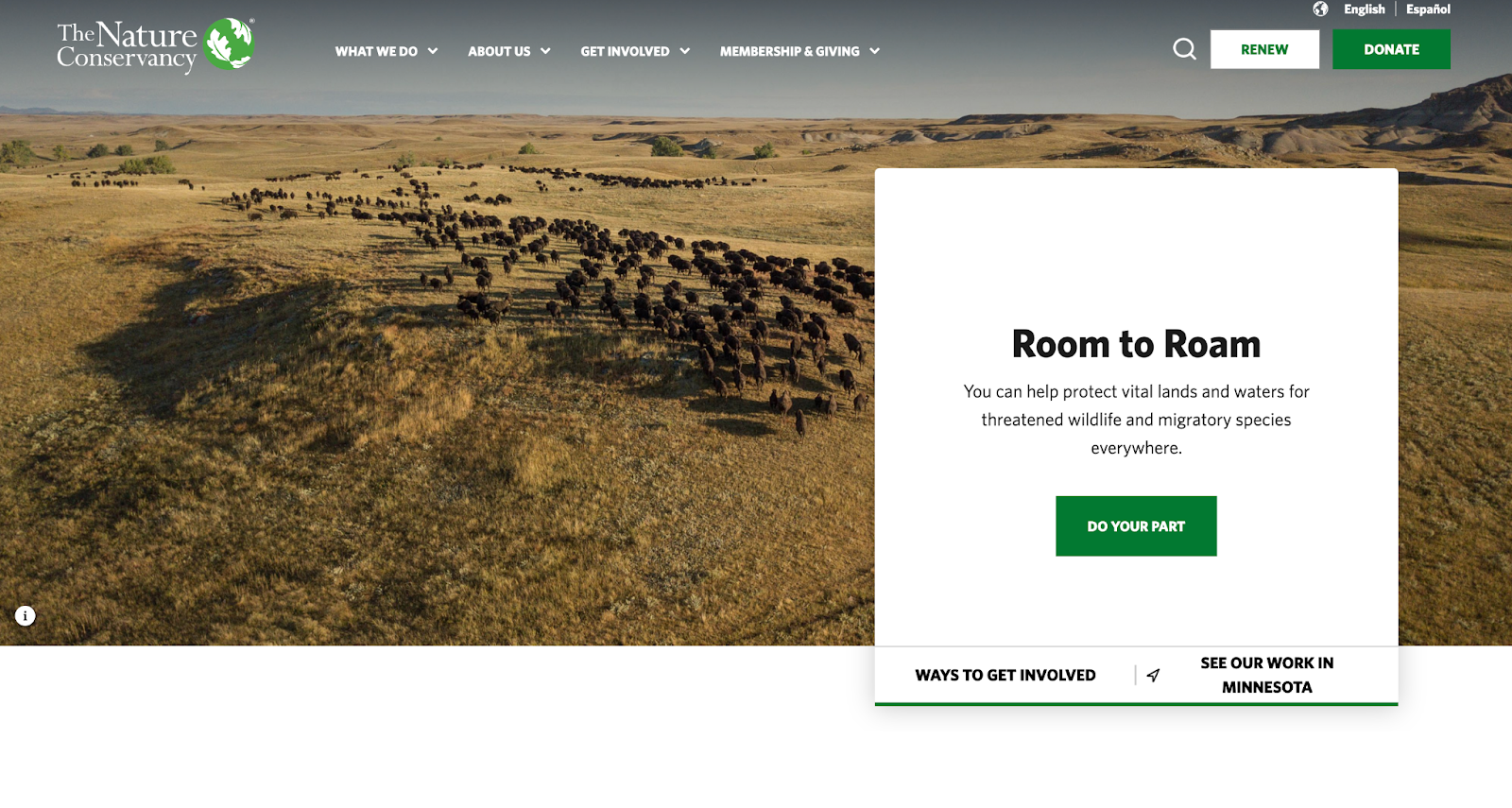 55 Non-Profit Website Examples to Get You Inspired