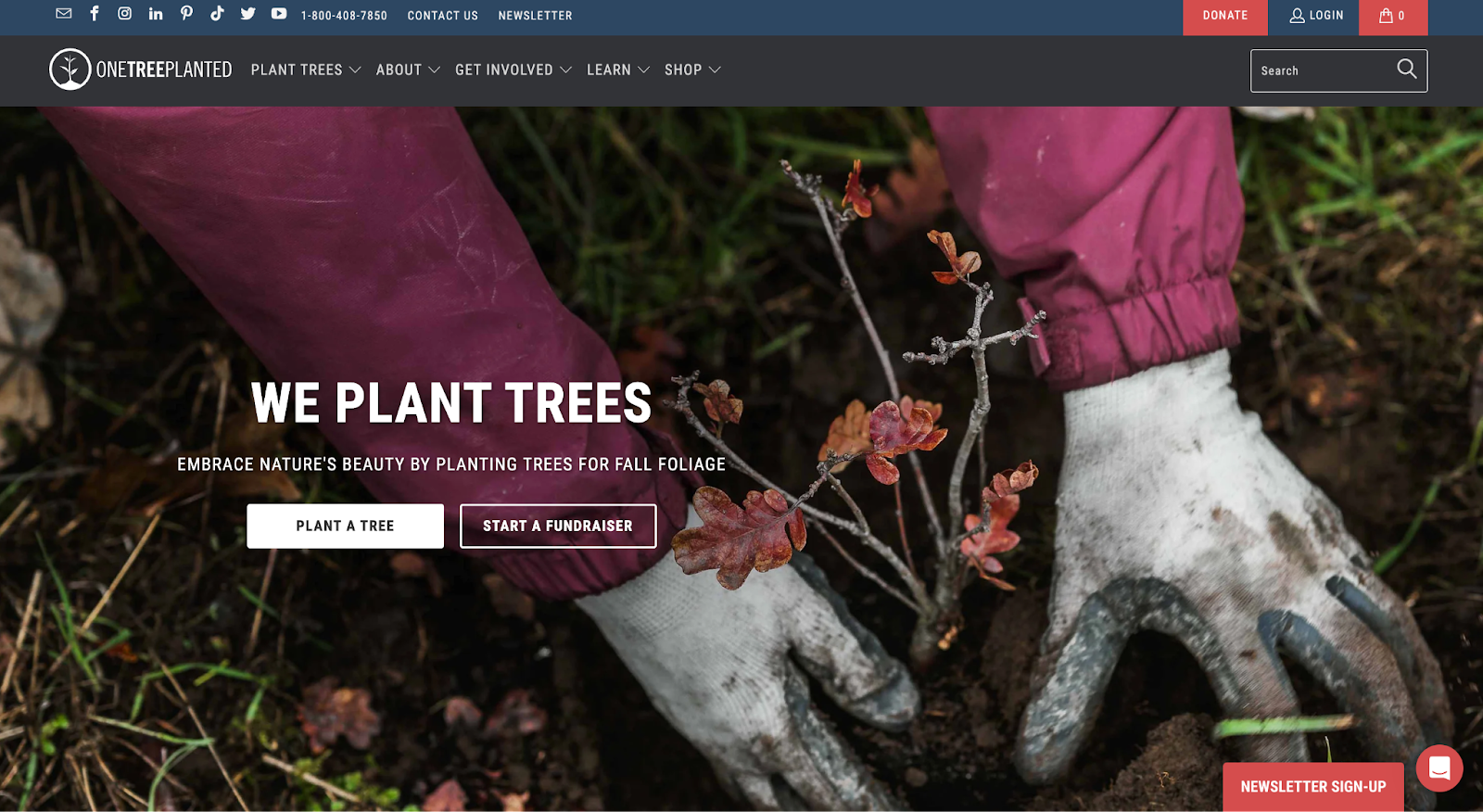 55 Non-Profit Website Examples to Get You Inspired