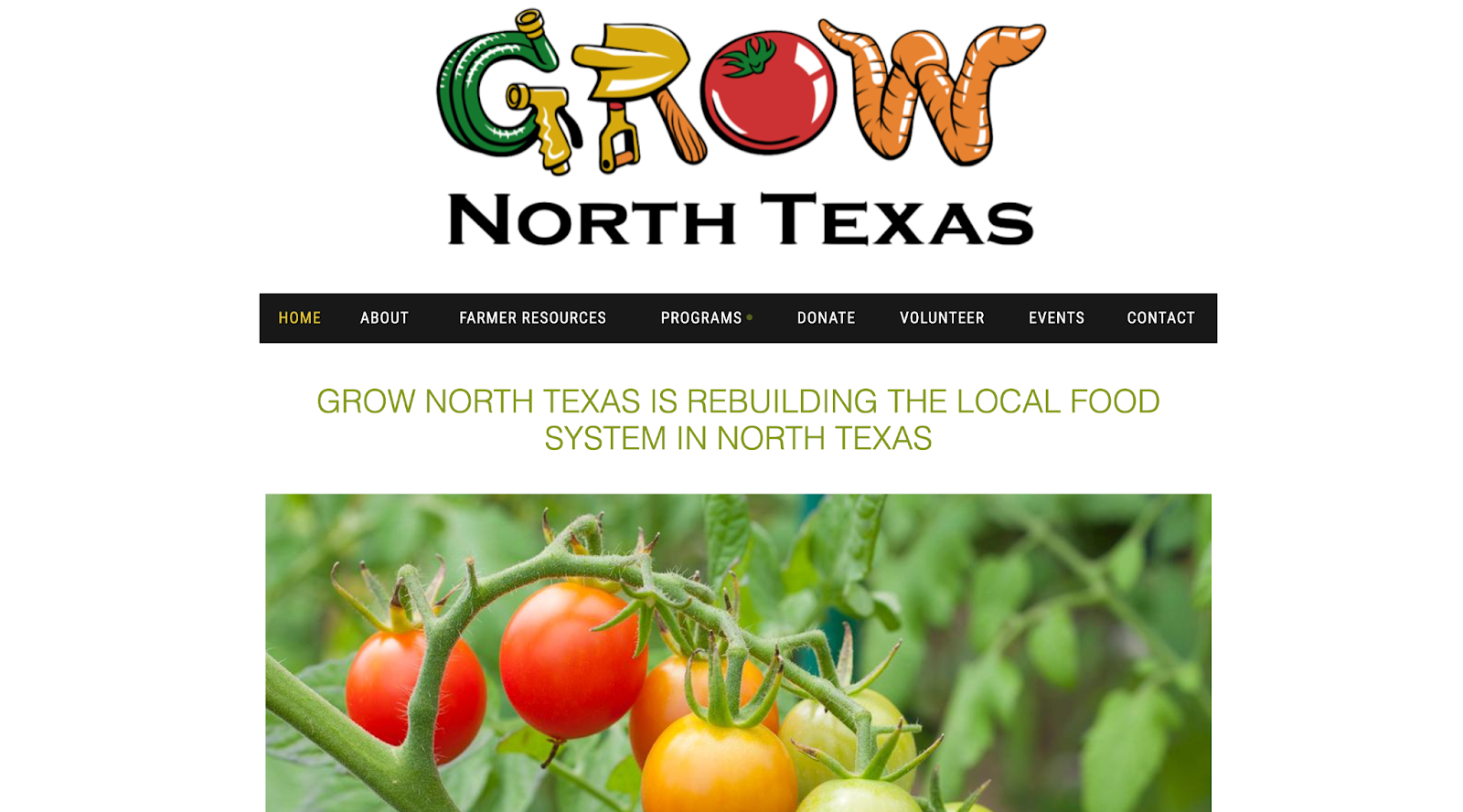 55 Non-Profit Website Examples to Get You Inspired