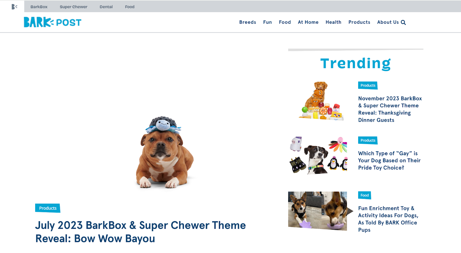 20+ Types of Blogs that Make Money (& Examples)