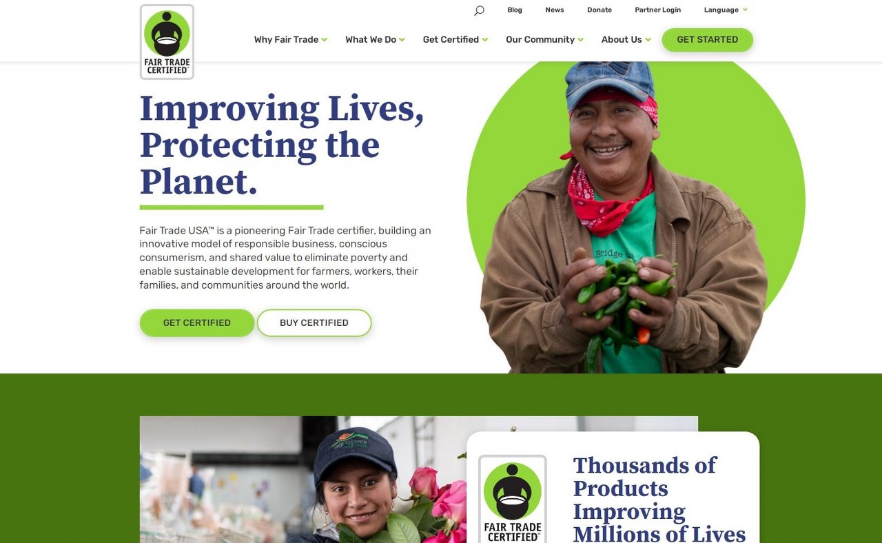 Sustainable E-commerce: Build a Successful Green Brand