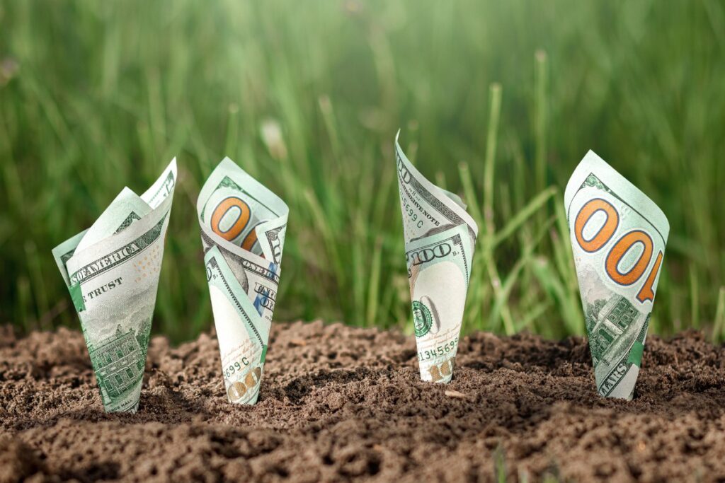 How to Make Money Work for You: Ways to Grow Your Income