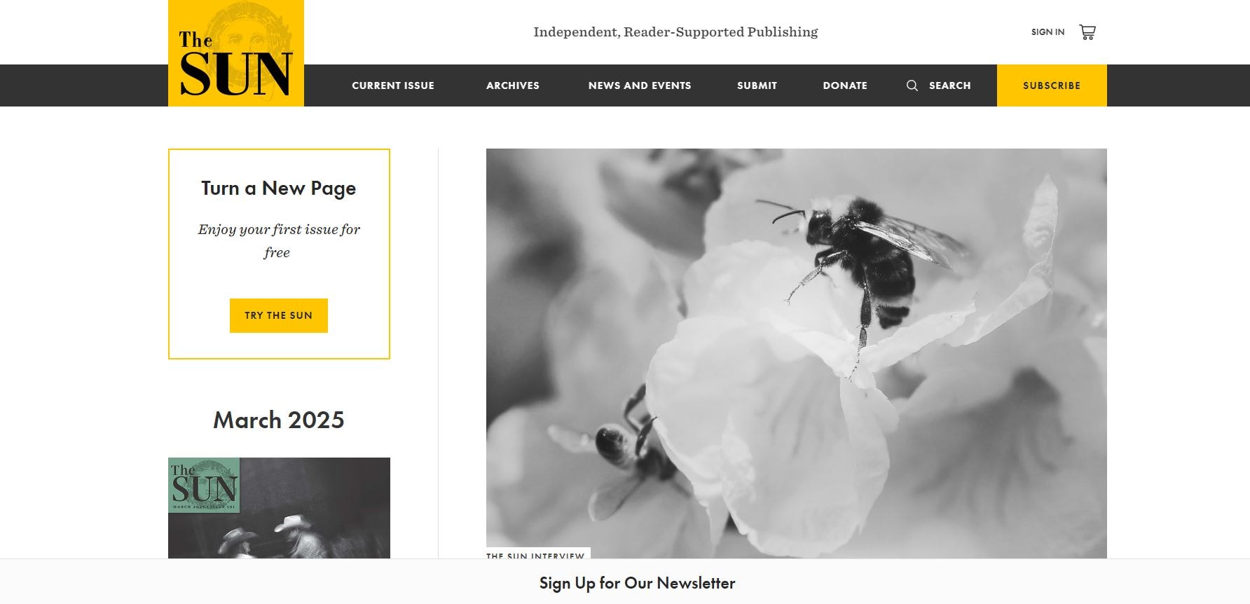 Get Paid to Write Essays: Top Freelance Platforms for Writers