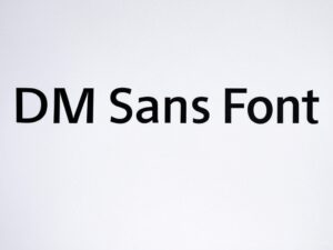 27 Best Fonts for Websites (+ How to Choose & Pair Them)