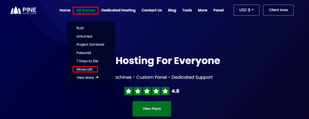 Pine Hosting Review (2025): Expert Analysis and User Insights