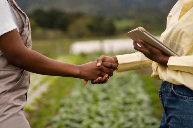 How to Make Money as a Farmer: 17 Ways to Profit