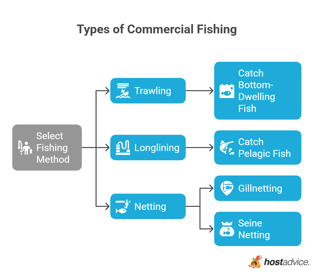 How to Start a Fishing Business: Commercial Operation Guide
