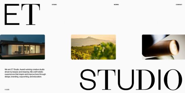 33 Creative Minimalist Website Designs (w/ Pro Analysis)