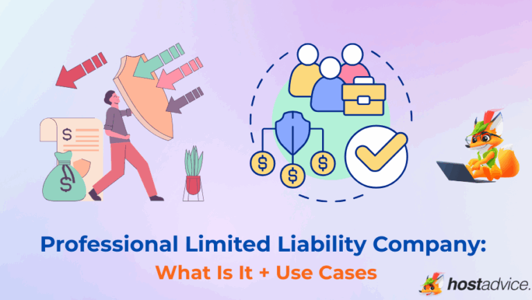 Professional Limited Liability Company: What Is It + Use Cases
