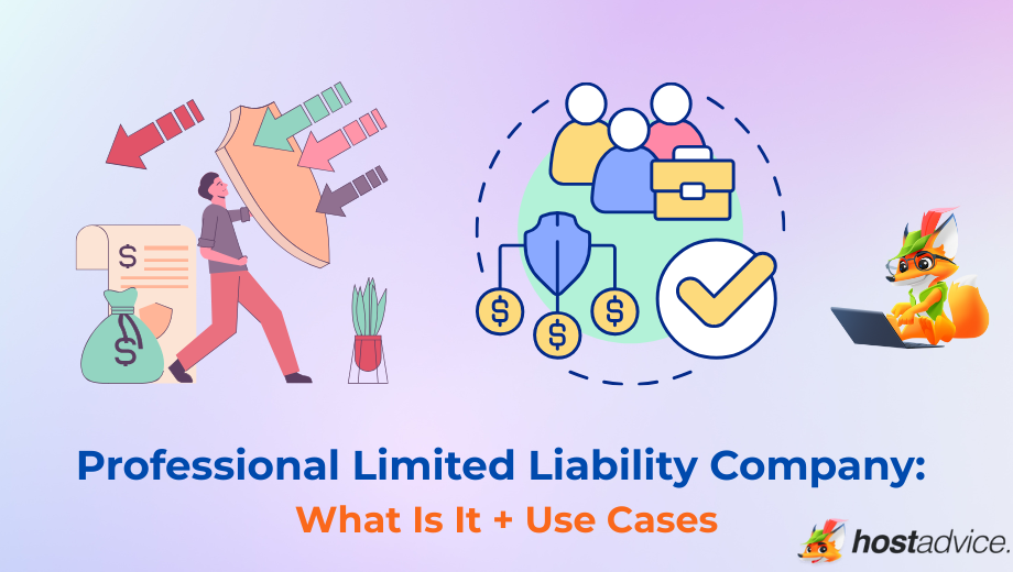 Professional Limited Liability Company: What Is It + Use Cases