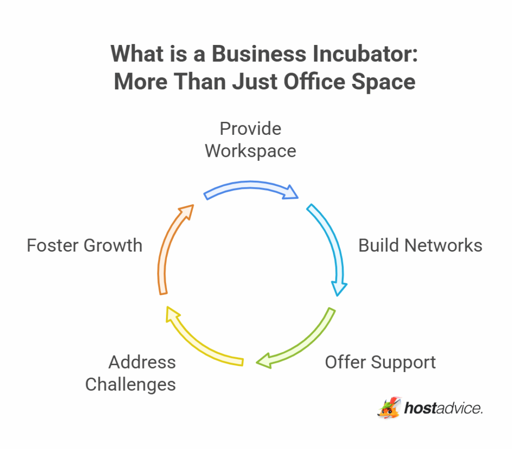 What is a Business Incubator? (Ultimate Guide for Startups)