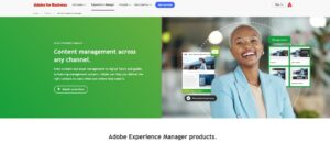 Enterprise Website Design: 11 Examples & Why They Work