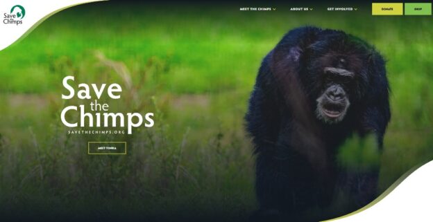 19 Thank You Page Examples (& 5 Mistakes to Avoid)