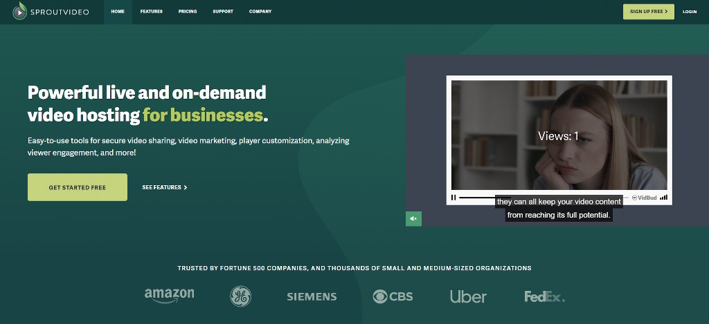 15 Best YouTube Alternatives in 2025 (w/ Pros & Cons)