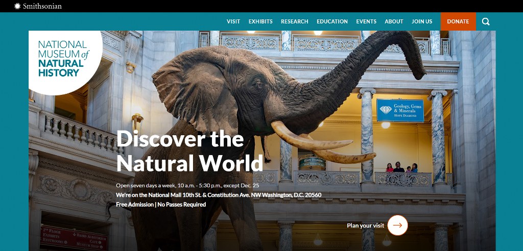 25 Inspiring Museum Website Designs (& What We Can Learn)