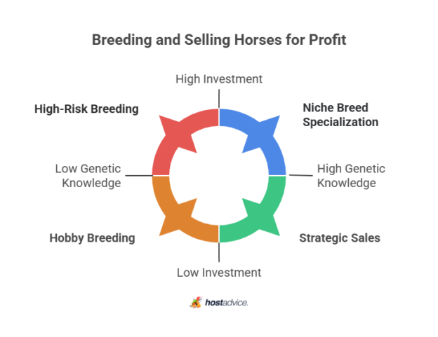 How to Make Money With Horses: Gigs & Full-Time (27 Ways)